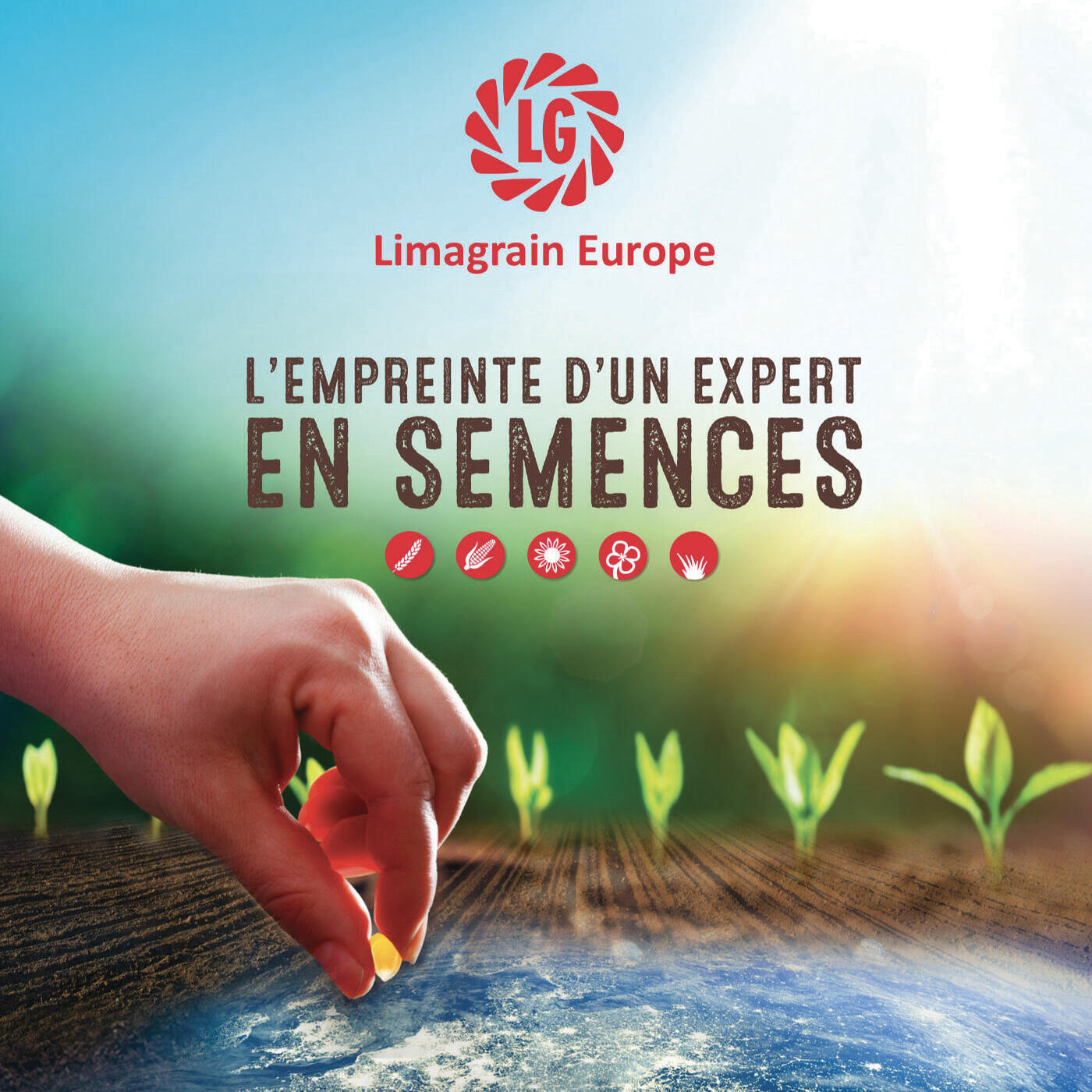 Wheat - Limagrain Europe offers high-performance varieties that meet a ...
